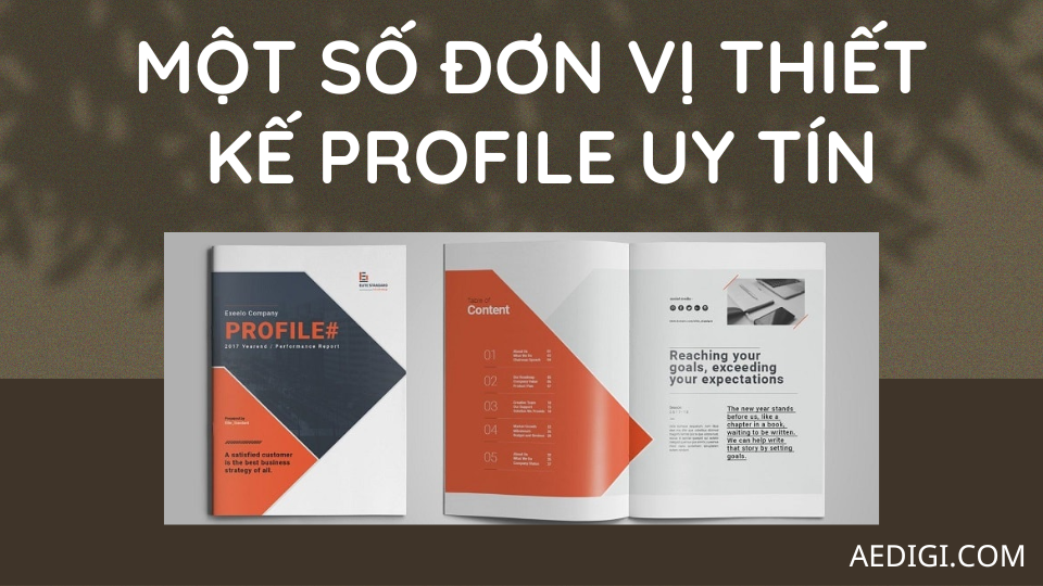 Một Số đơn Vị Thiết Kế Profile Chất Lượng Và Uy Tín Hiện Nay • AEDIGI